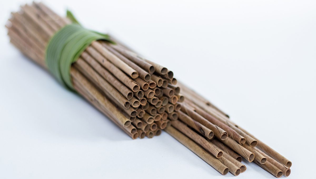 [Guest feature] How to save the world with every sip? – Planet Rescue 101