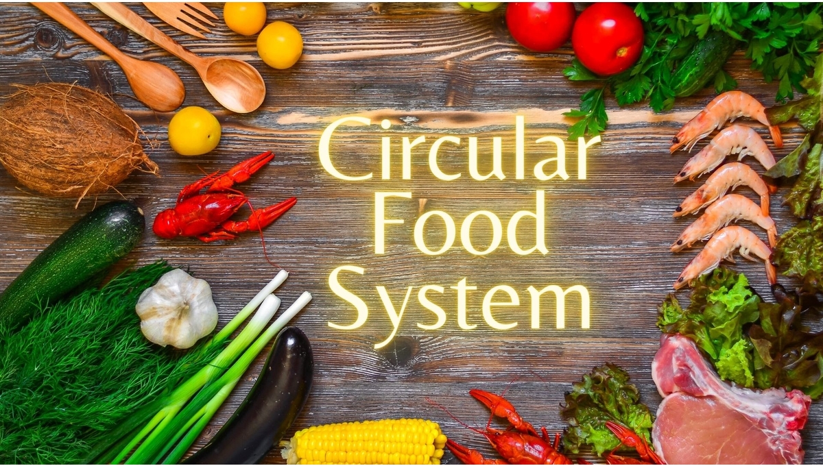 ­How can circular economy help the food system? – Planet Rescue 101